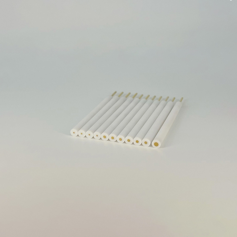 Gold plate electrode – YM Instrument
